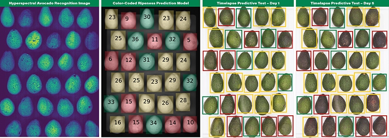 Hyperspectral imaging company Impact Vision acquired by Apeel ...