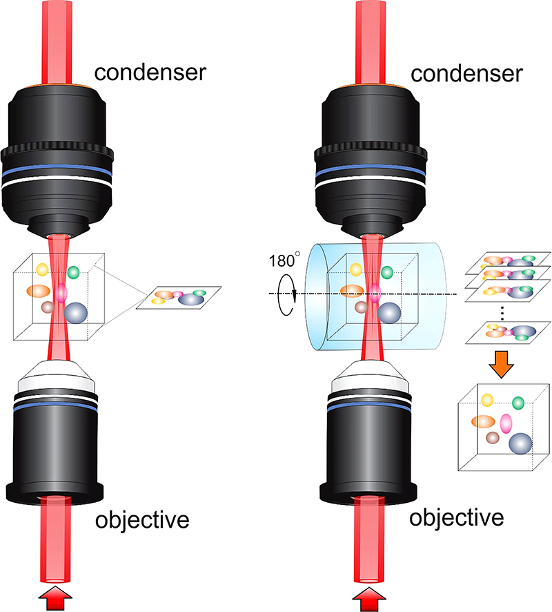 Raman imaging with Bessel beam enables deep-tissue imaging ...