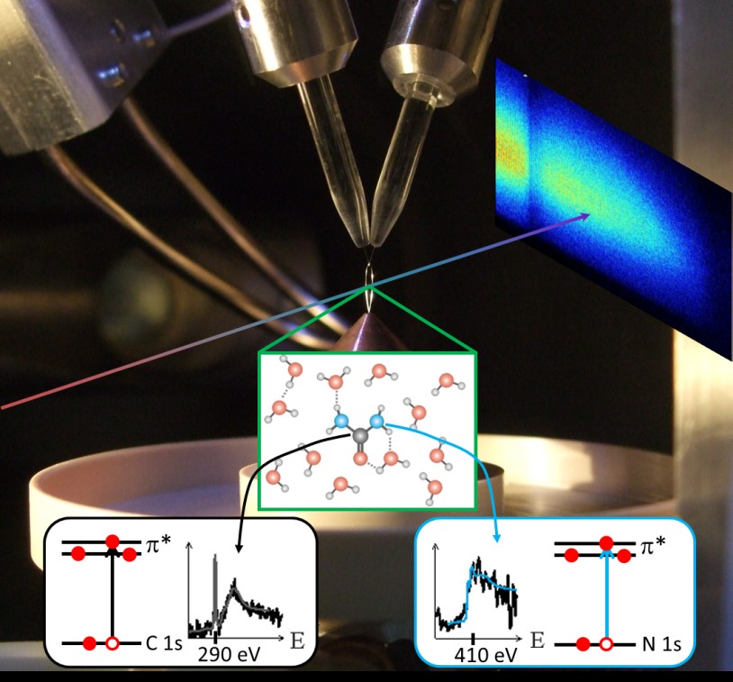 Simultaneous probing of C and N atoms with table-top femtosecond soft-X ...