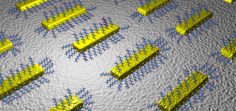 Surface-enhanced infrared spectroscopy | Spectroscopy Europe/World