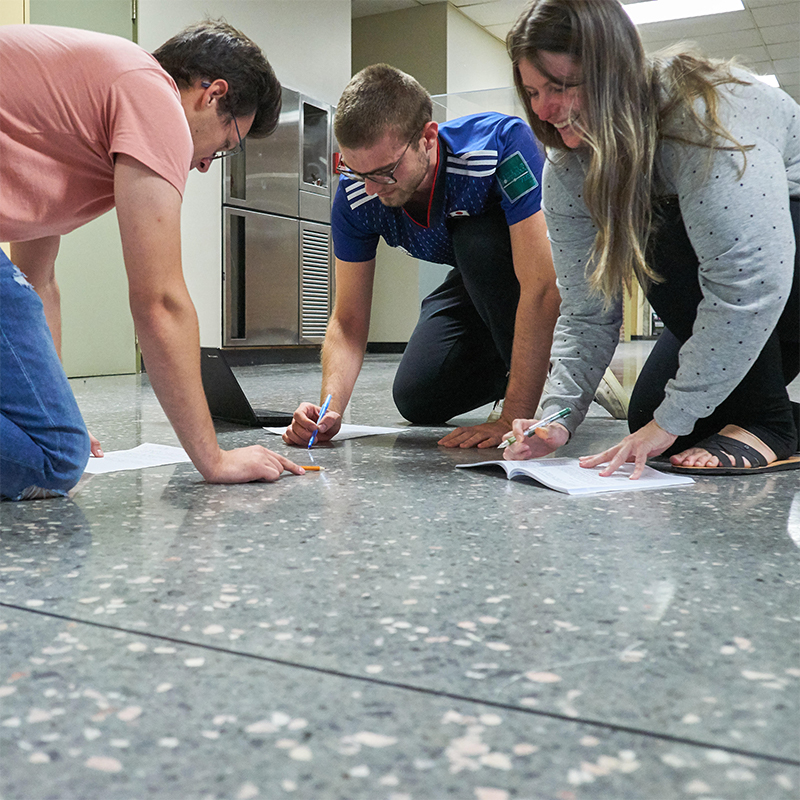 A didactic introduction to the Theory of Sampling: 2-D sampling ...