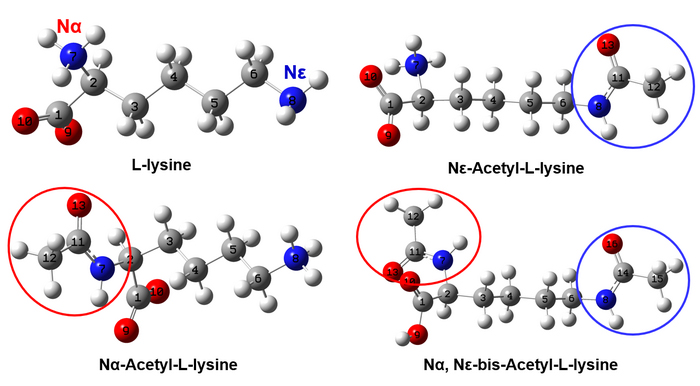 Raman and infrared spectroscopy identify different acetylated lysines ...